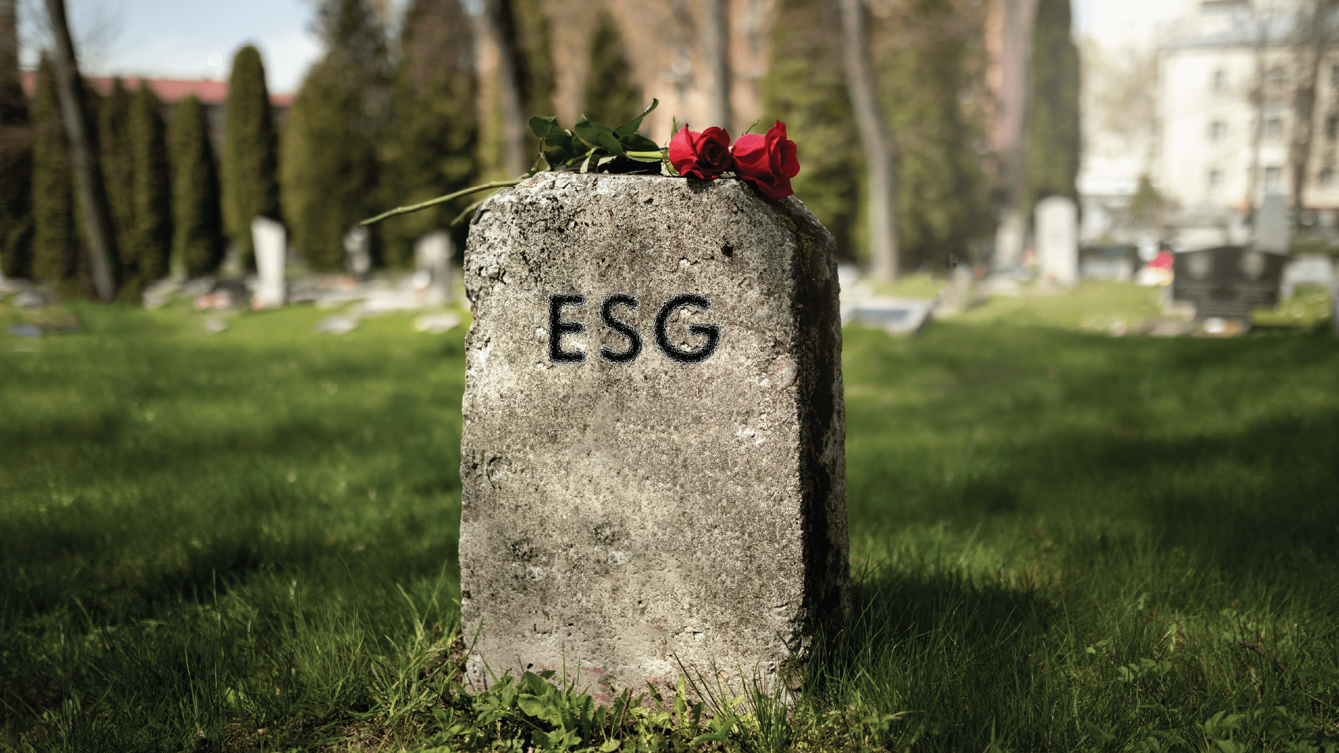 ESG Events in 2025: Strategy, Reporting, and Why It Still Matters